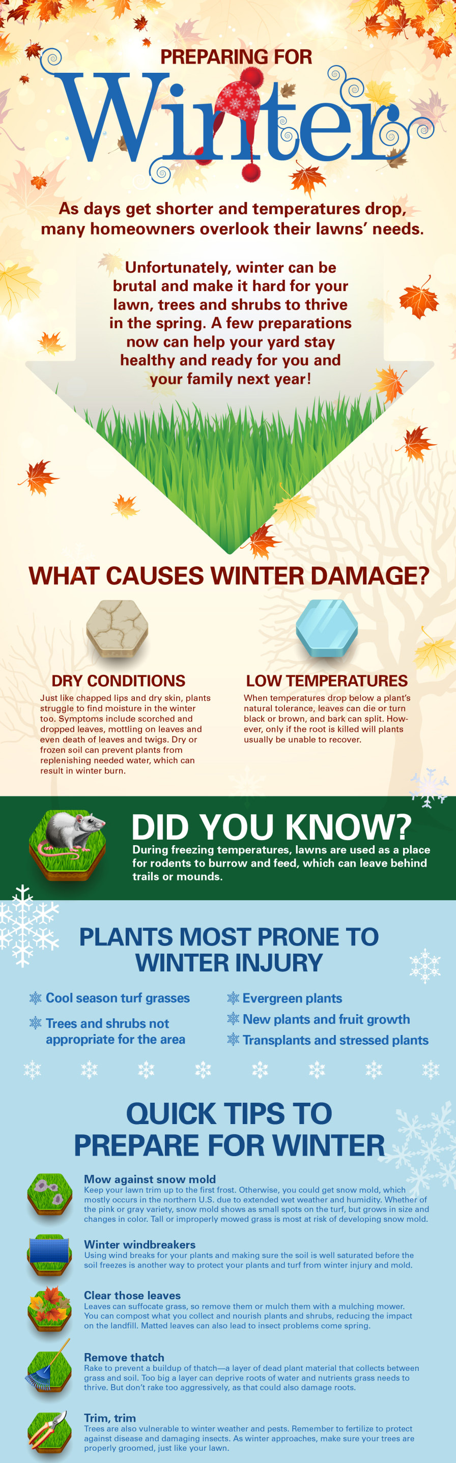 How To Prepare Your Plants & Lawn For Winter Infographic