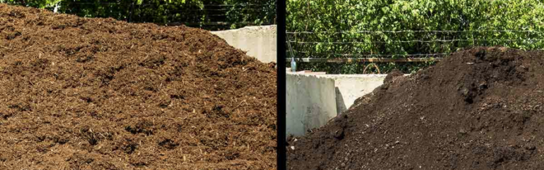 The Difference Between Mulch and Compost | RELS